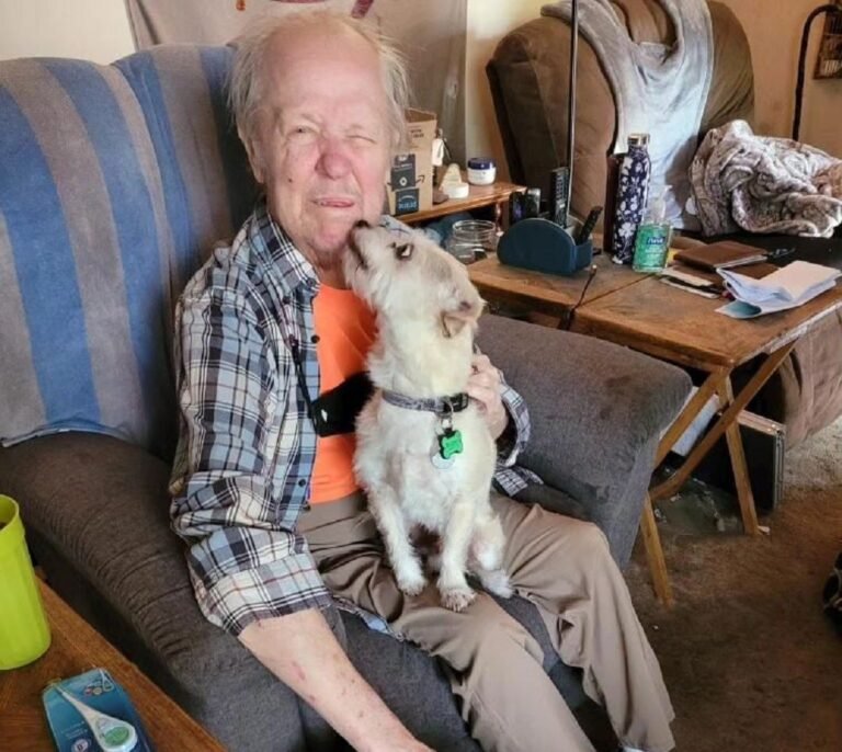 Biff Wiff Wikipedia Bio And Real Name: Who Is He?